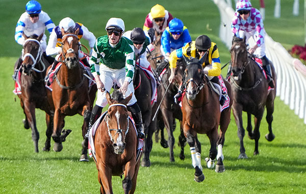 Ladbrokes Cox Plate Day